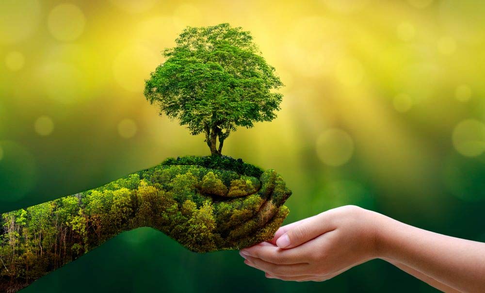 Save A Tree Save A Life Plant A Tree Plant A Life VIVAN Life Save A Tree Save A Life Plant A Tree Plant A Life VIVAN Life